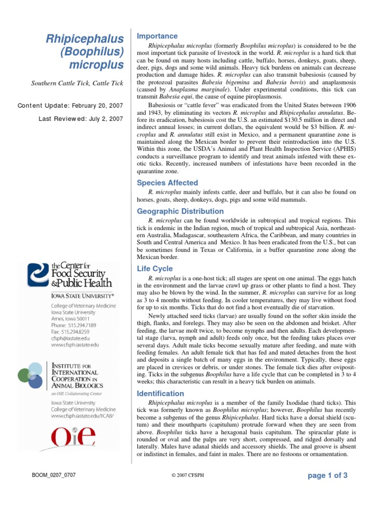 Boophilus Microplus | PDF | Animals And Humans | Livestock Farming