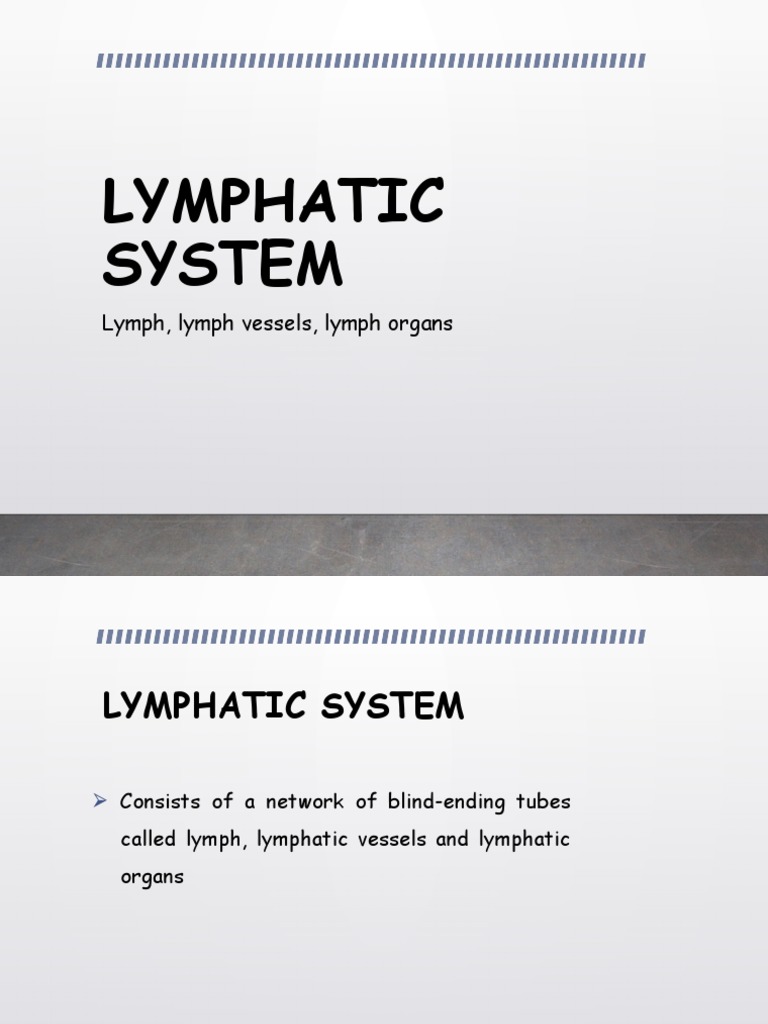 Overview of Human Body Systems | PDF | Lymphatic System | Uterus
