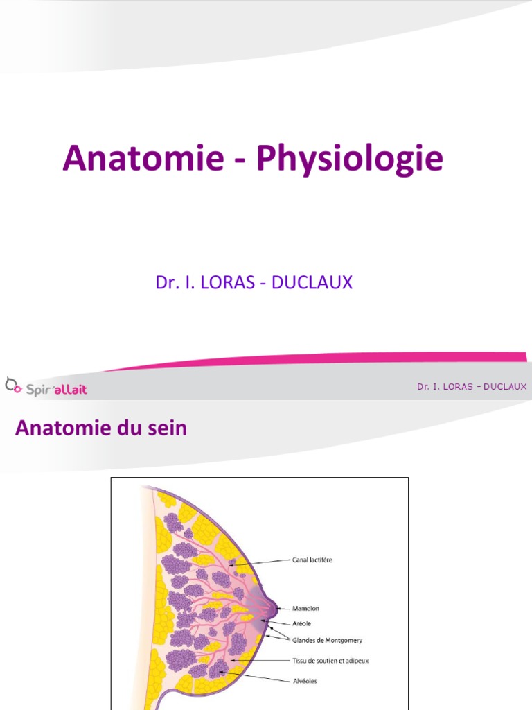 Anatomie Physio | PDF | Sein | Organe