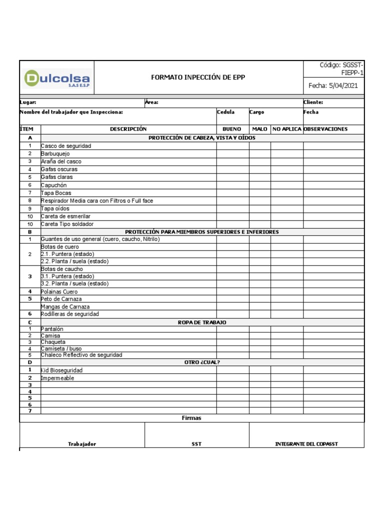 Formato de Inspección de EPP | PDF