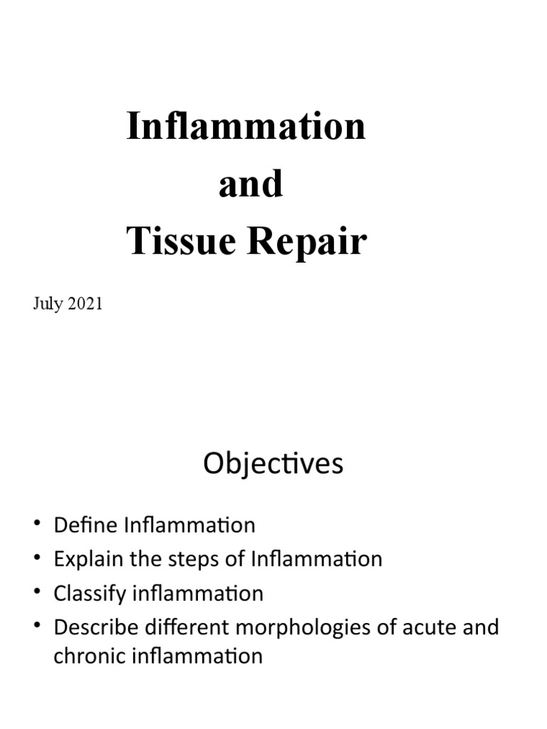 Inflammation and Tissue Repair: July 2021 | PDF | Macrophage | Inflammation