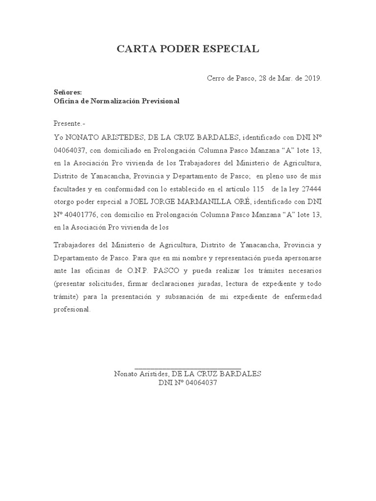 Carta Poder Especial | PDF