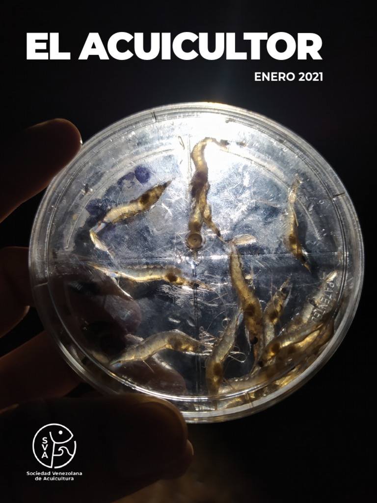 El Acuicultor Enero 2021 Compressed 2 | PDF | Venezuela | Las bacterias