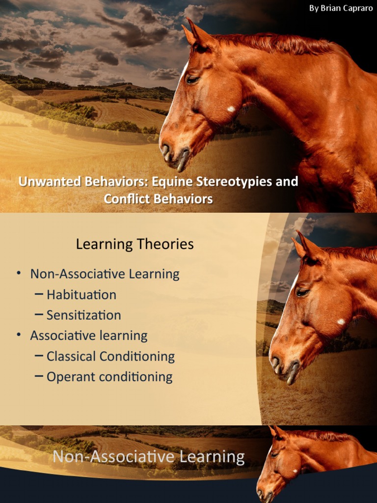 Equine | PDF | Classical Conditioning | Learning