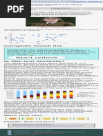 PJSK Character Diagnosis | PDF
