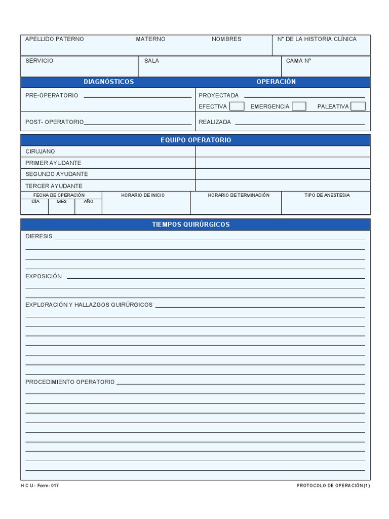 Formulario 017 MSP | PDF