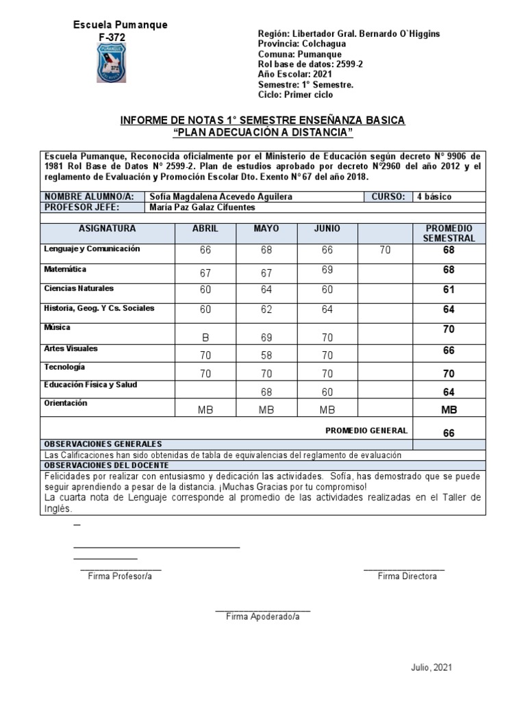 Informe de Notas Cuarto Básico 1 Semestre | PDF | Educación primaria ...