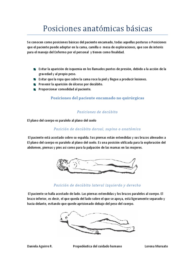 Posiciones anatómicas básicas