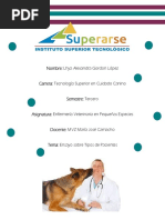 Anatomía Del Hueso Del Húmero Del Perro AnatomyLearner - El Lugar para ...