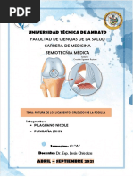 Pruebas de Bostezo en Rodilla | PDF | Rodilla | Medicina CLINICA