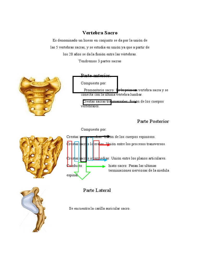 Sacro | PDF