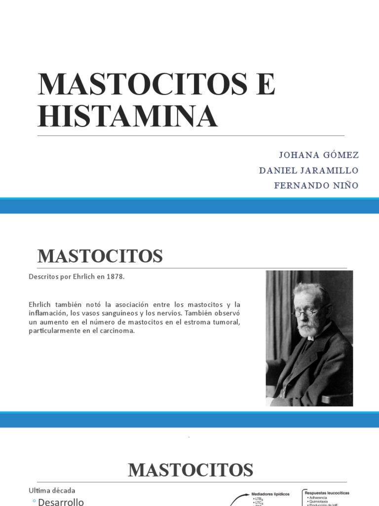 Mastocitos y su relación con la histamina | PDF | Inflamación | Sistema ...