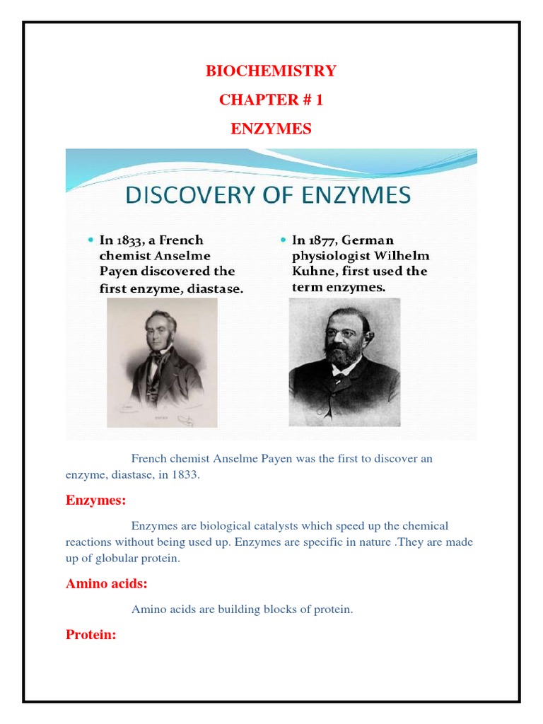 Biochemistry Chapter # 1 Enzymes | PDF | Active Site | Enzyme