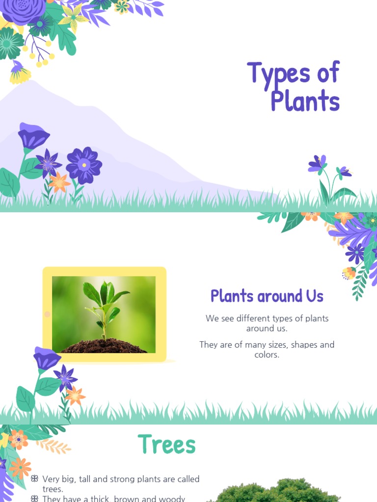Types of Plants For Kids PPP | PDF
