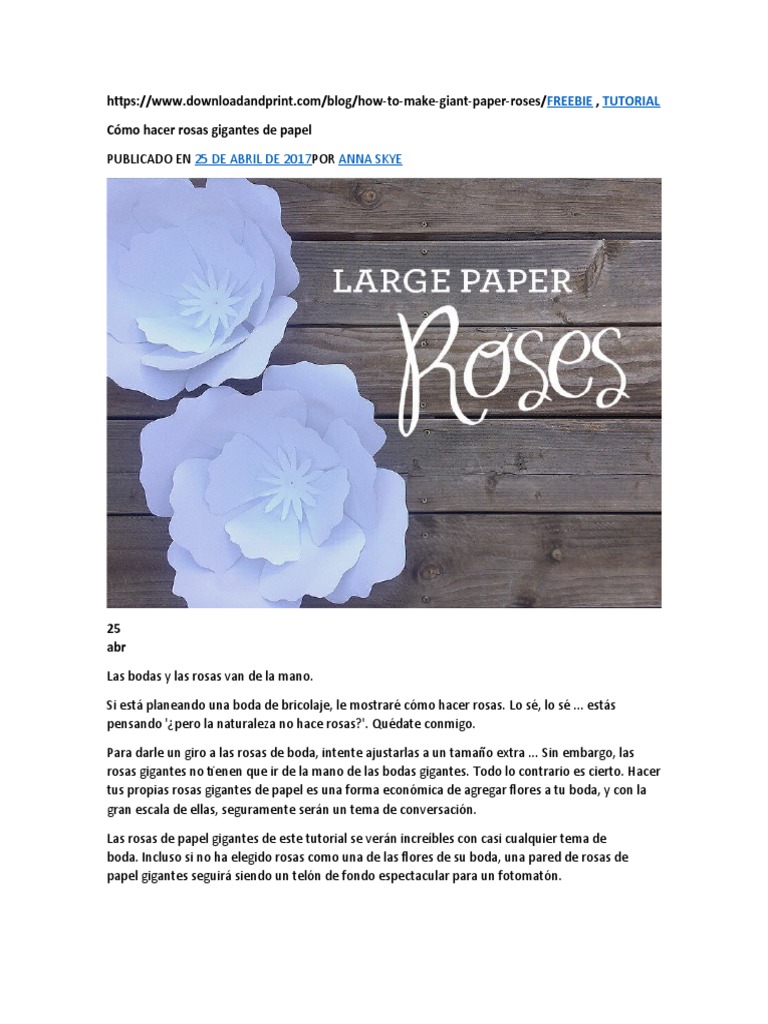 Rosa Paso A Paso | PDF | Morfología Vegetal | Plantas