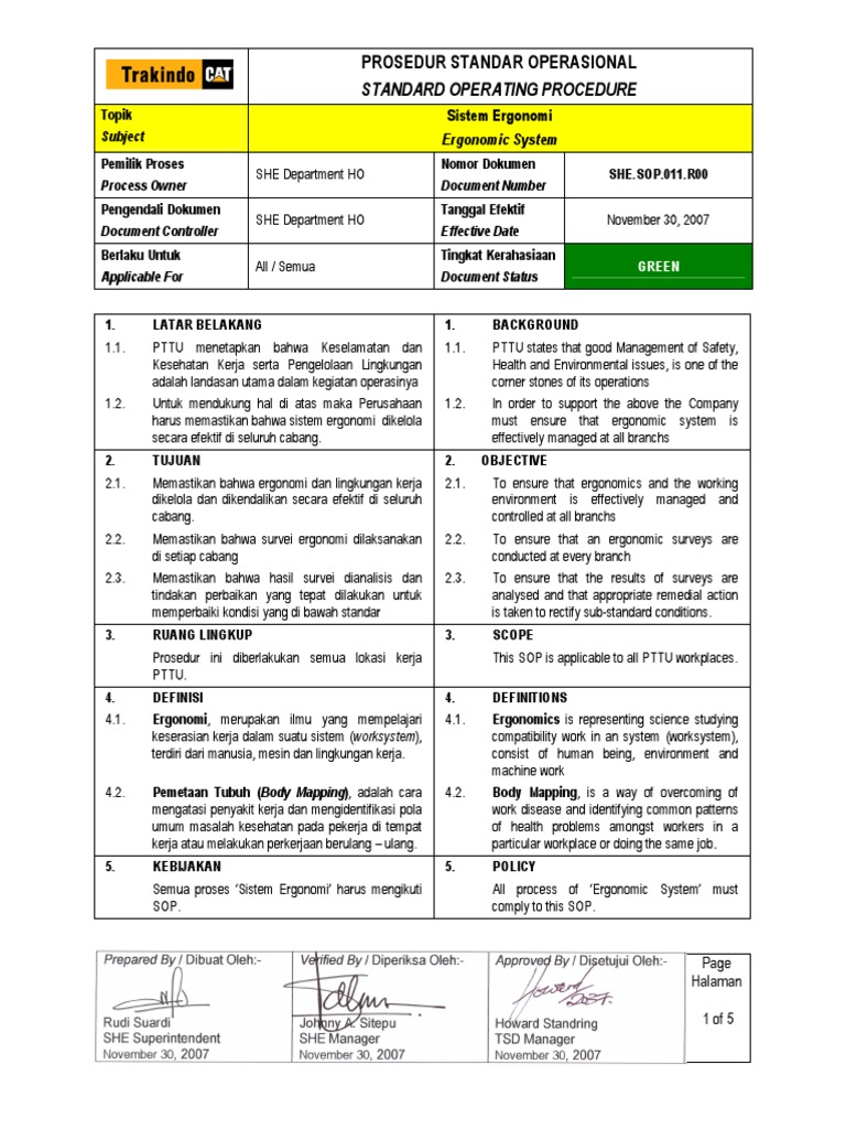 SHE - SOP.011.R00 - Ergonomic System | PDF