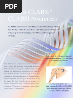 Clabsi Bundle Checklist | PDF