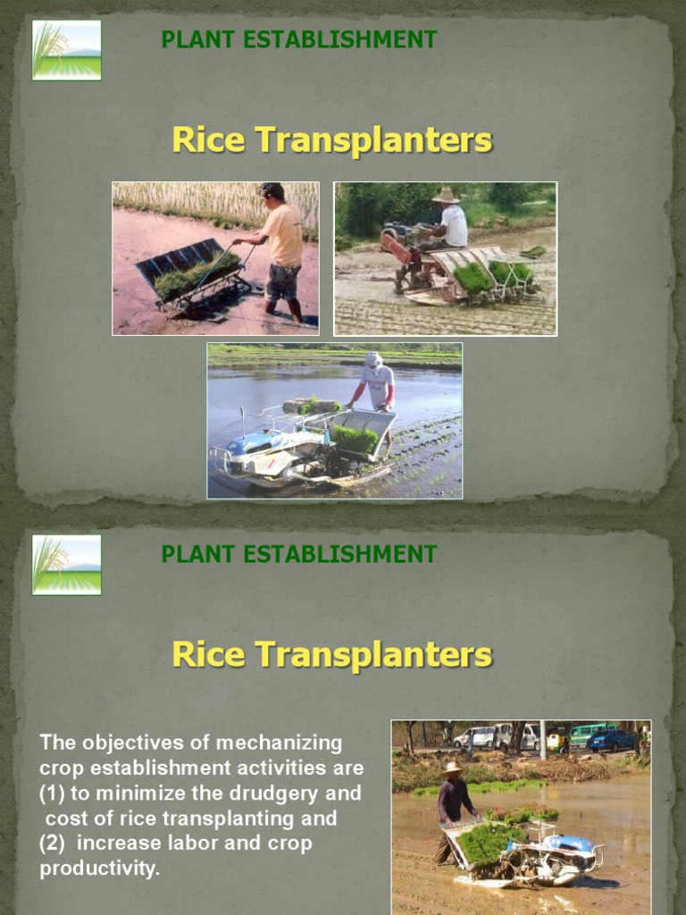 Mechanical Transplanter 2 | PDF | Clutch | Machines
