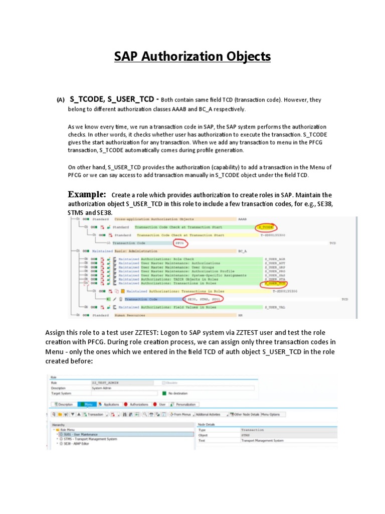 Standard Sap Authorization Objects For Security Pdf Information Age Computer Engineering
