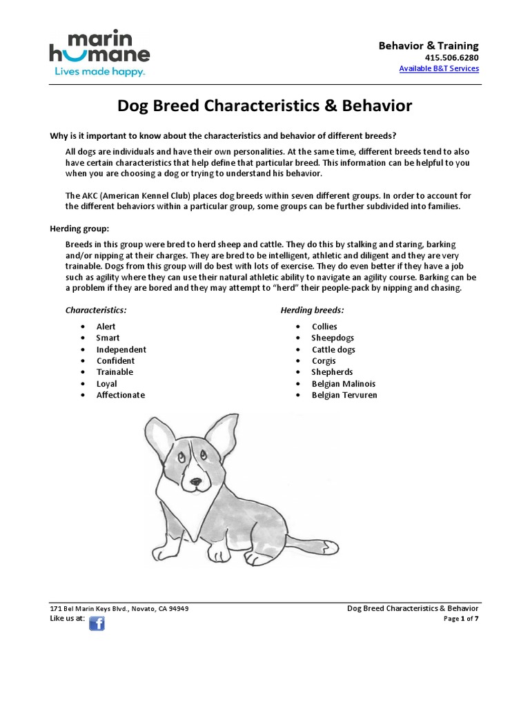 Dog Breed Characteristics & Behavior | PDF | Herding Dogs | Dog Breeds