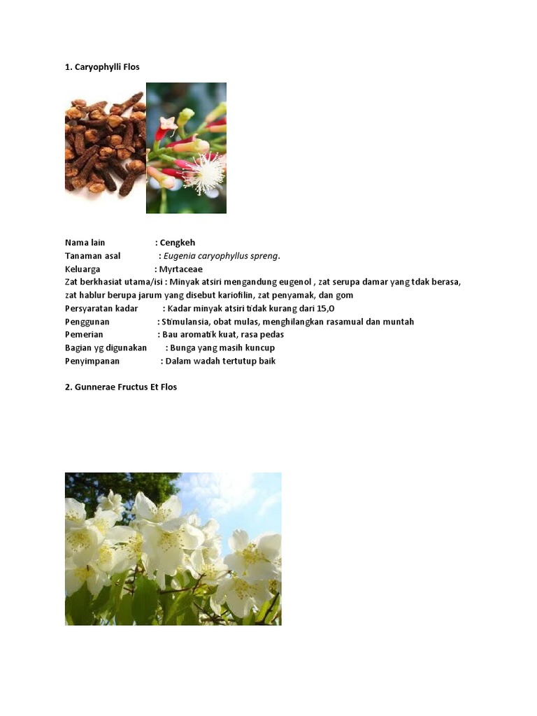 20.015 Made Gopal Nandala Flos Dan Fructus | PDF