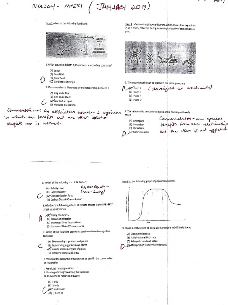 Biology - 2019 Paper 1 | PDF