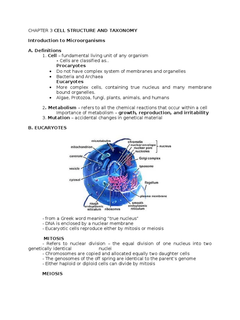 Chapter 3 Cell Structure and Taxonomy | PDF | Cell Nucleus | Cell (Biology)
