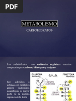 Bioqumica .... Rafinosa | PDF