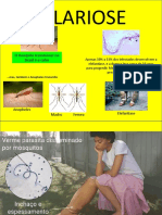 Sintomas da Tungíase e Cuidados | PDF | Doenças e distúrbios | Remédio