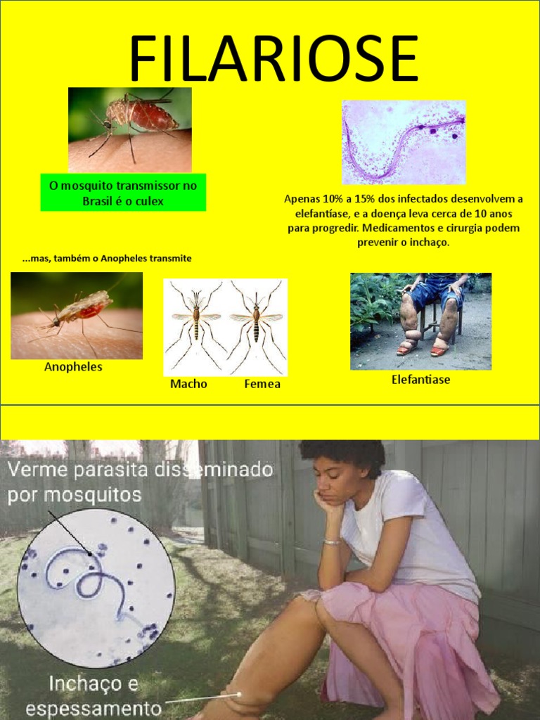 Filariose, larva migrans, esquistossomíase, miíase e bicho do pé | PDF ...