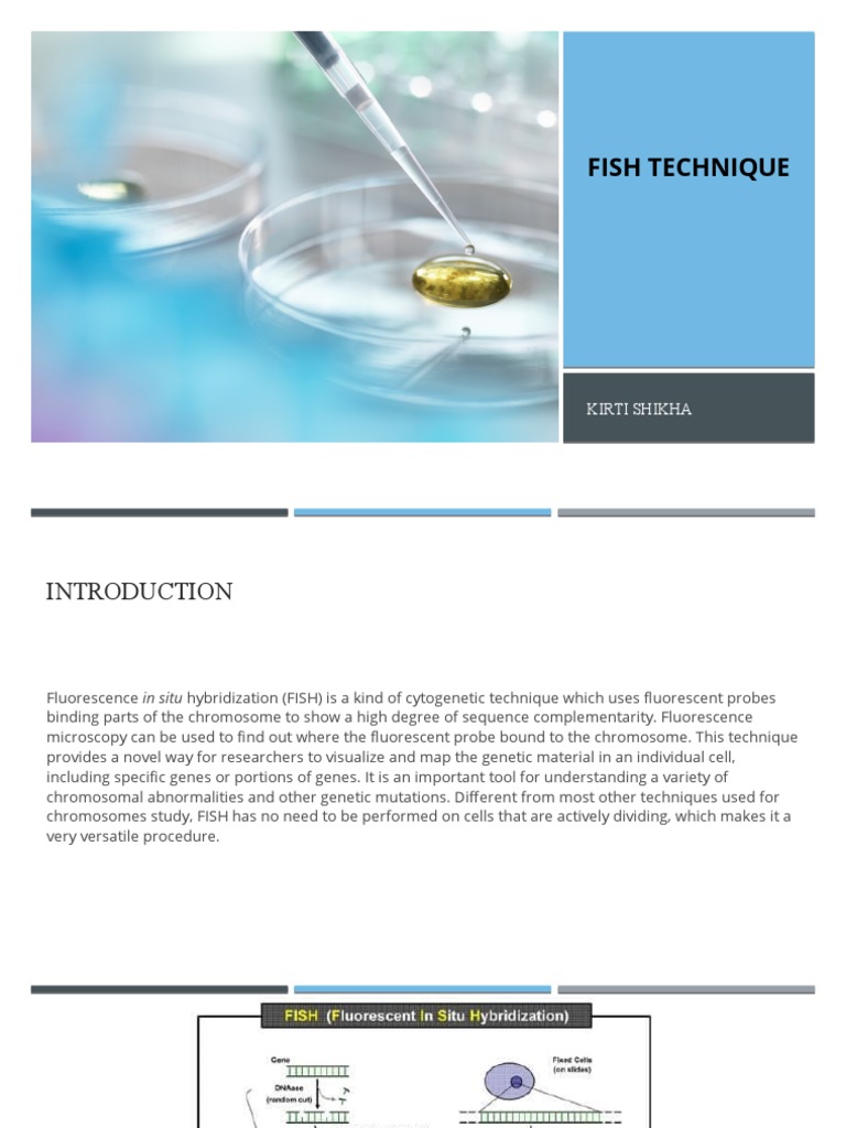 Fish Technique: Kirti Shikha | PDF | Fluorescence In Situ Hybridization ...