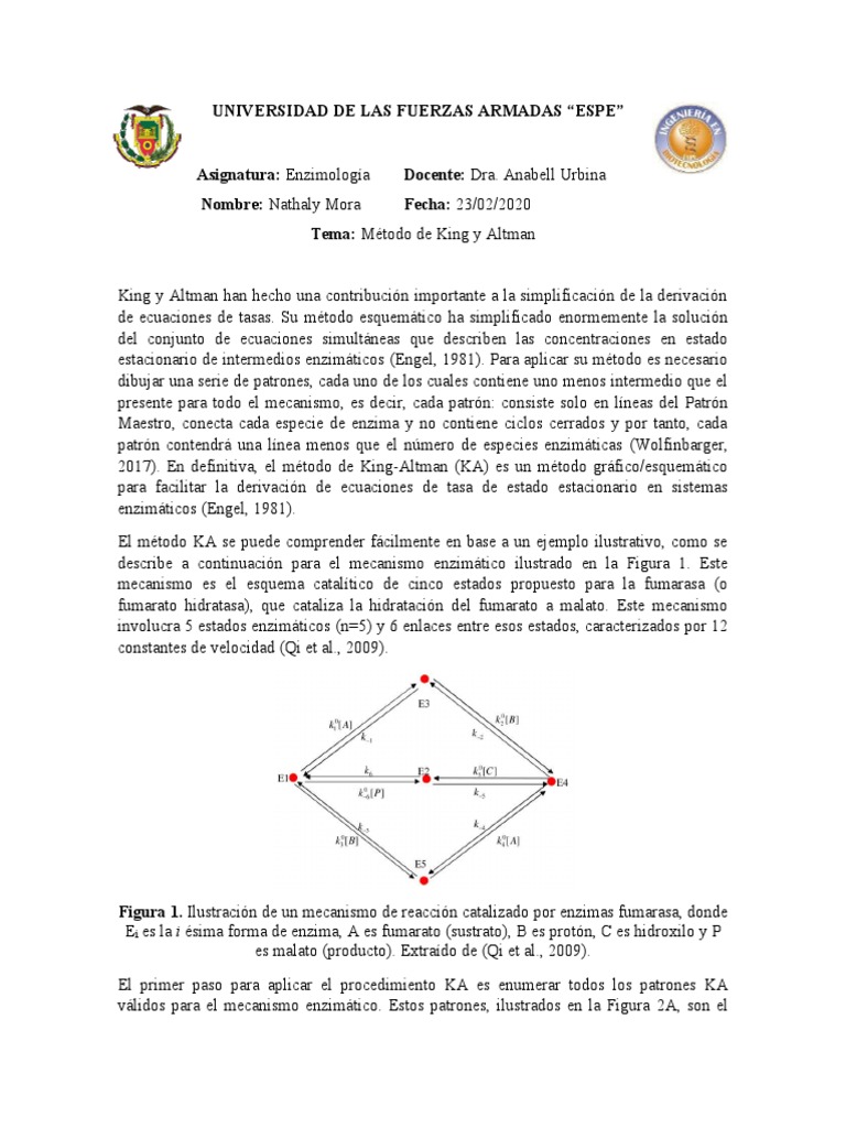 Método de King y Altman | PDF | Enzima | Catálisis