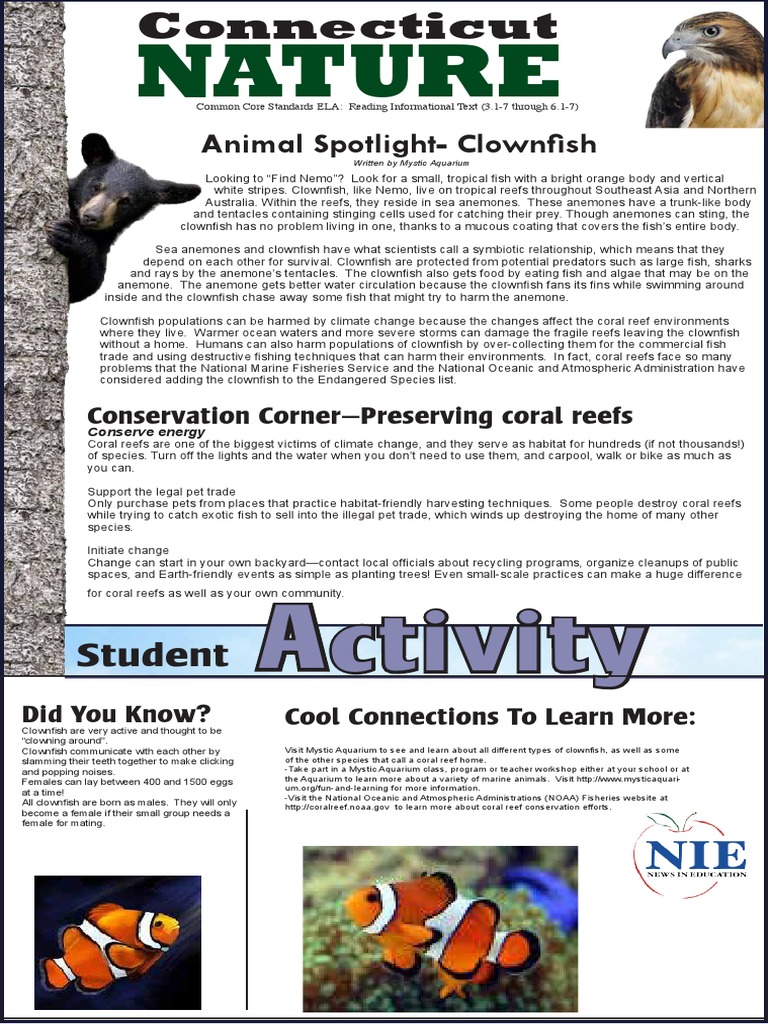 Animal Spotlight-Clownfish: Nature | PDF | Coral Reef | Fish
