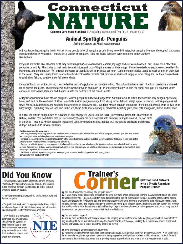 Penguins | PDF | Penguin | Predation