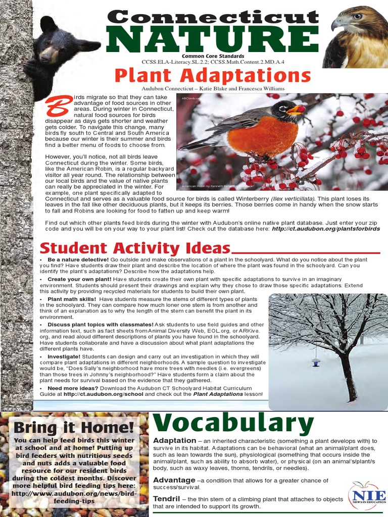Plant Adaptations | PDF | Adaptation | Organisms