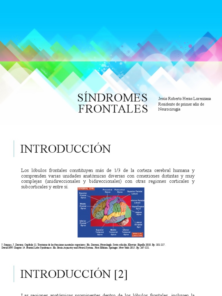 Síndromes frontales | PDF | Lóbulo temporal | Corteza cerebral