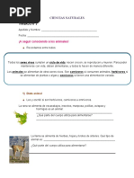 Ciclo de Vida del Sapo para Niños | PDF | Rana | Anfibio