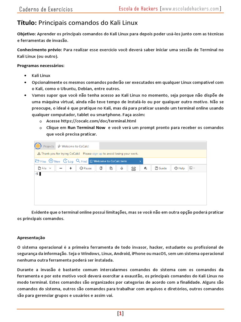 Principais Comandos Do Kali Linux | PDF | Linux | Caixa alta e caixa baixa