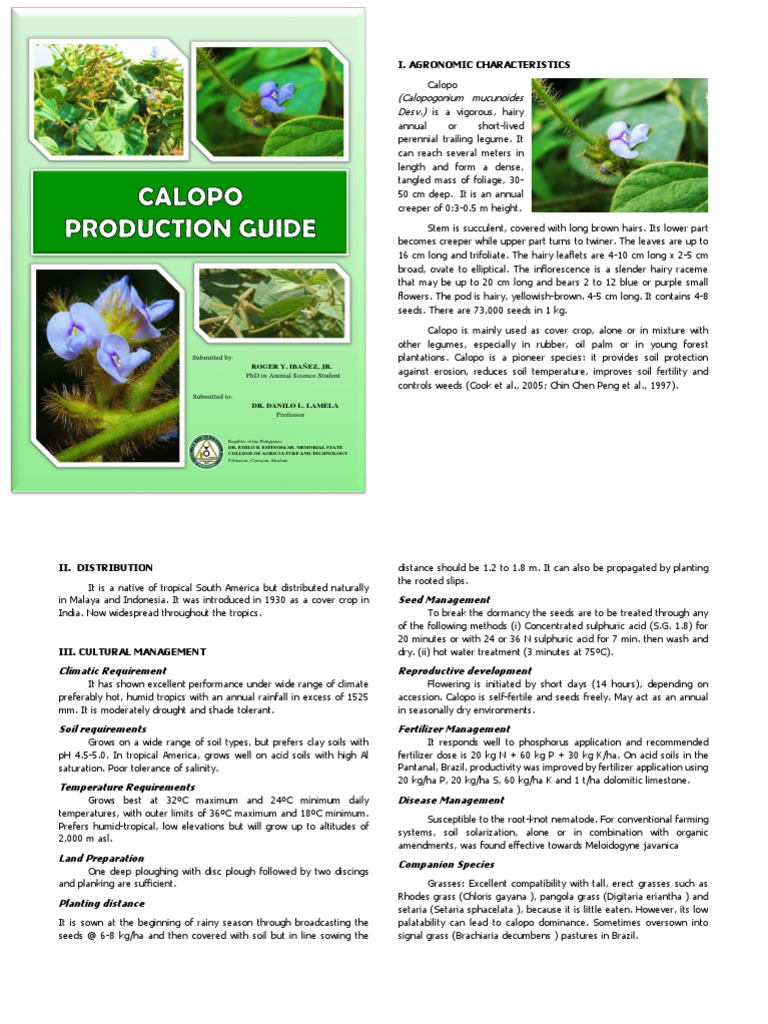 Roger's Report - Production Guide For Calopo | PDF | Hay | Soil