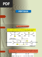 Presentacion de Cadena de Transporte de Electrones (Exposicion) | PDF | Trifosfato de adenosina ...