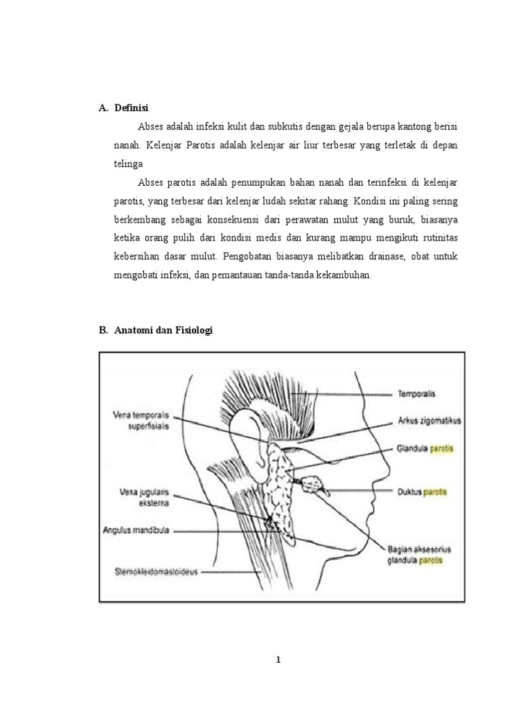 LP Abses Parotis Anggraeni Dewi R. | PDF
