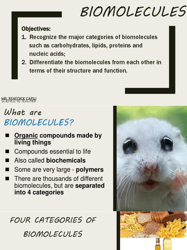 Understanding Major Biomolecule Categories | PDF | Biomolecules ...