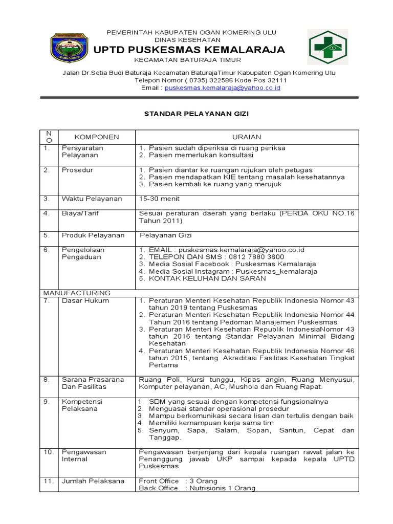 Standar Pelayanan Gizi | PDF