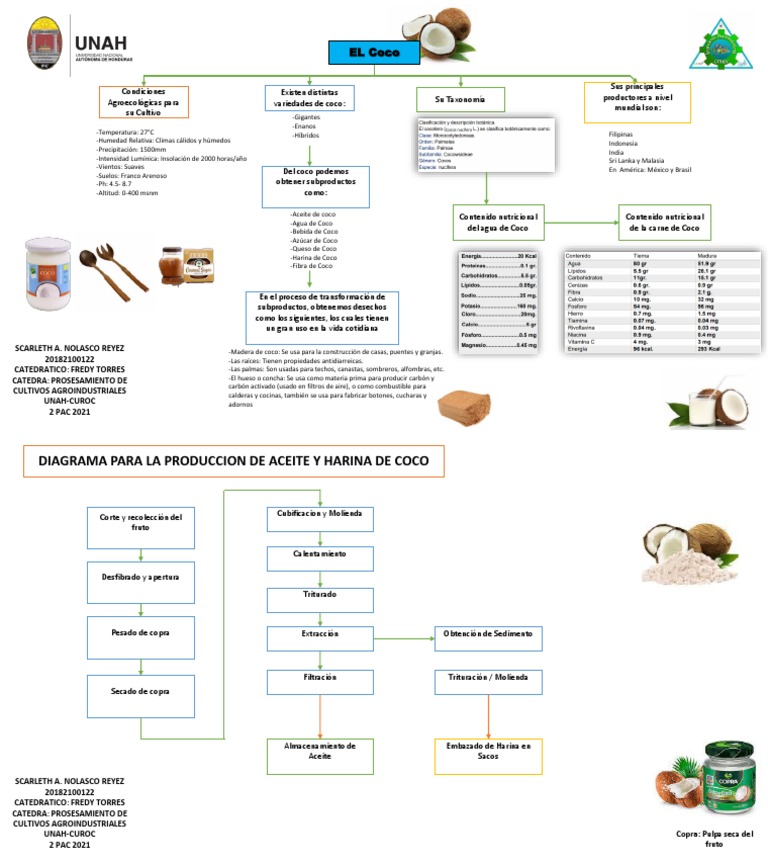 Proceso de Coco | PDF | Energía y recursos | Naturaleza