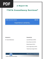 TCS Organization Structure | PDF | Strategic Management | Innovation