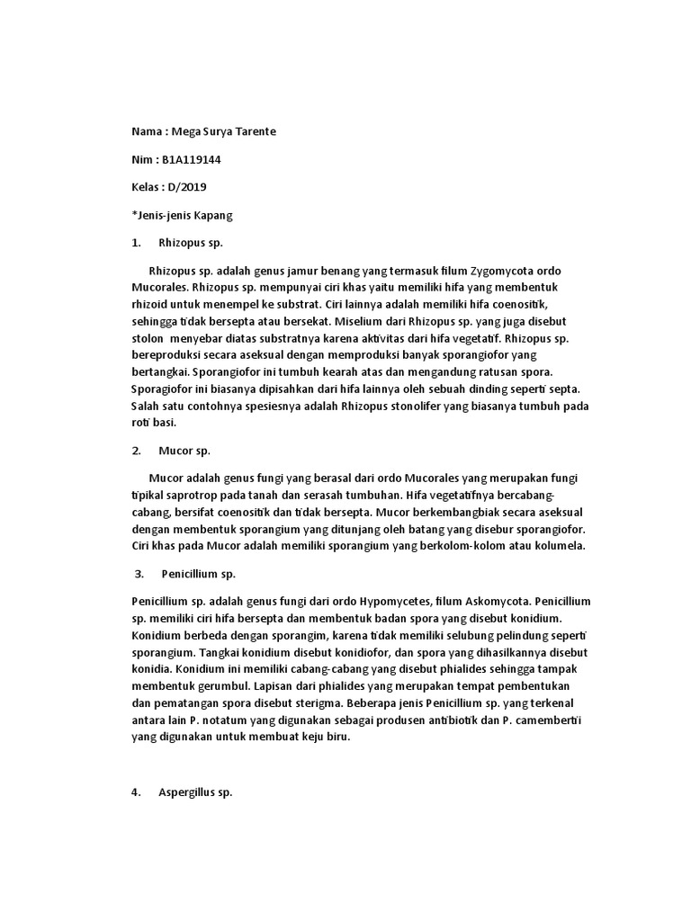 Jenis-Jenis Dan Morfologi Kapang & Khamir | PDF