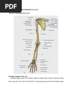 Sinaps: Jenis, Fungsi, dan Mekanisme | PDF