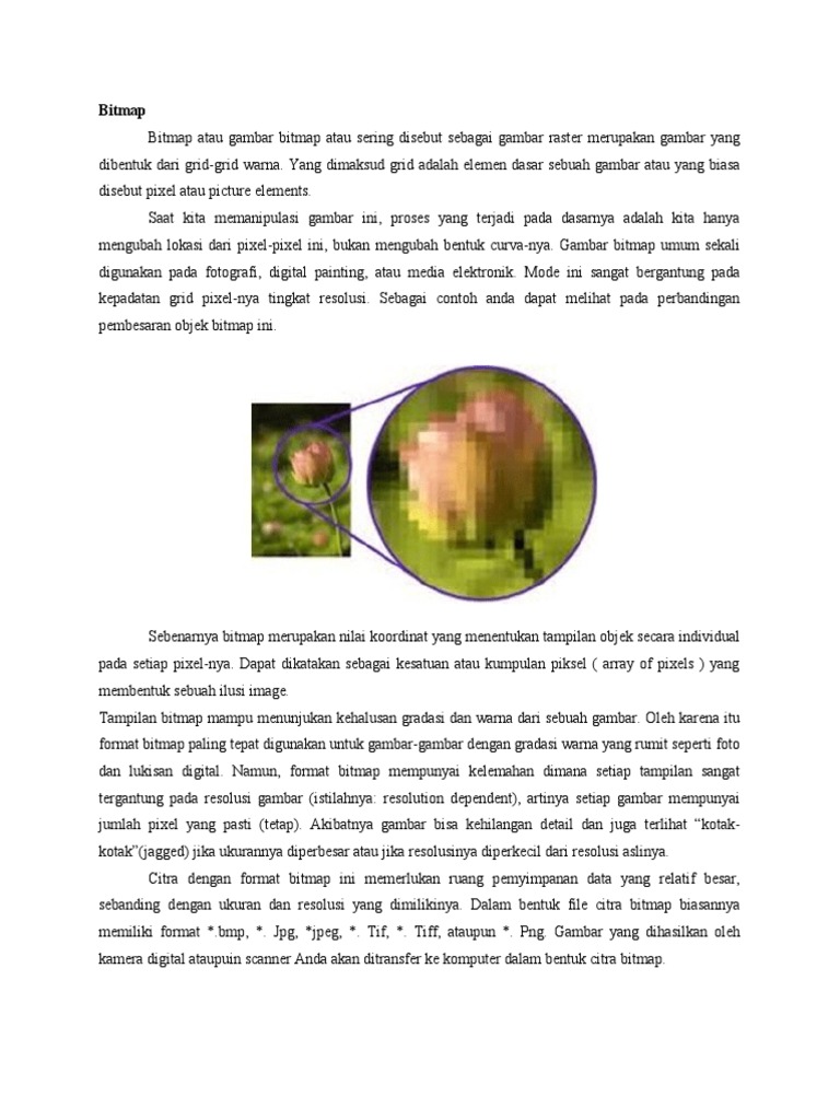 Bitmap (Rsater) Aplikasi Pengolah Gambar Raster. | PDF