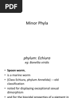 Unio Freshwater Mussel Classification | PDF | Mussel | Mollusca