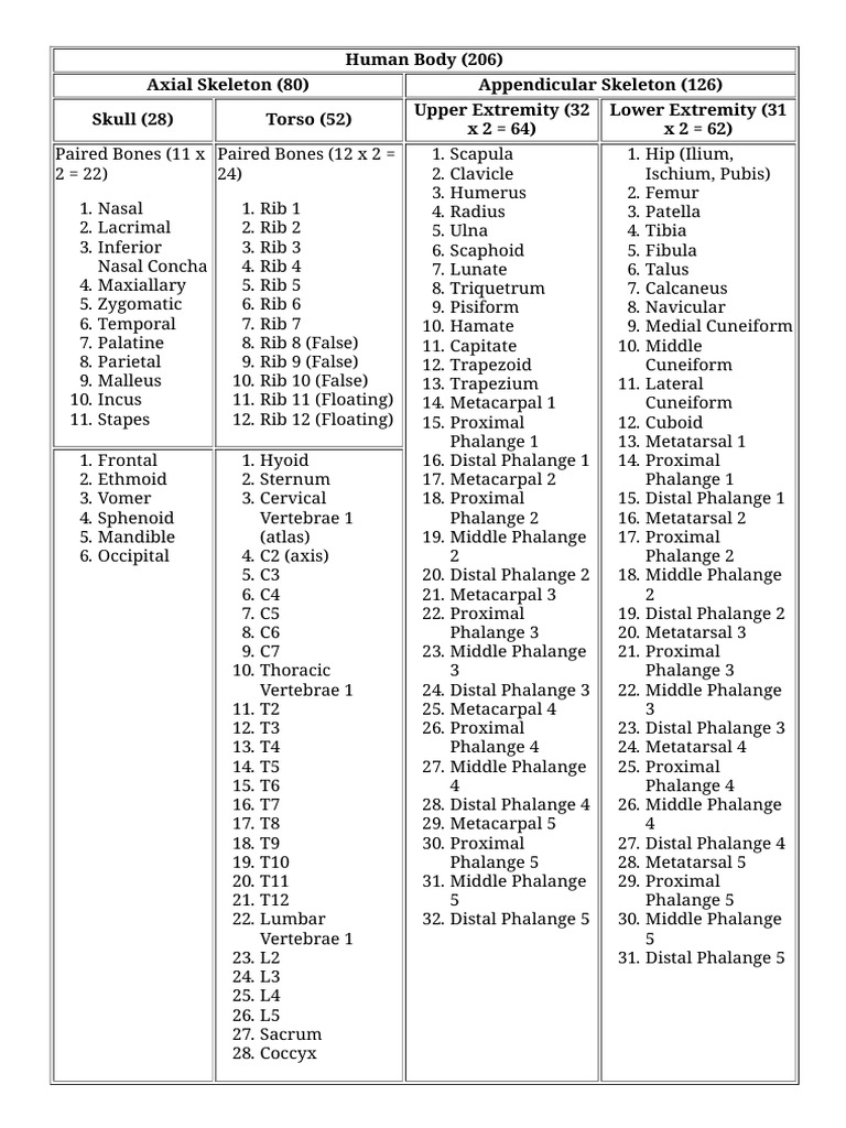 A Comprehensive List and Classification of All Bones in the Human Axial ...